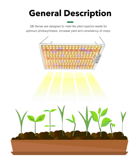 DoGAN – Grow Light